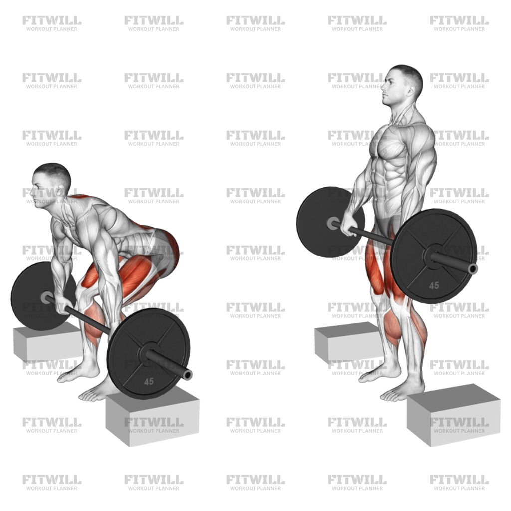 Barbell Deadlift From Blocks: Exercise Guide, Video, Techniques ...