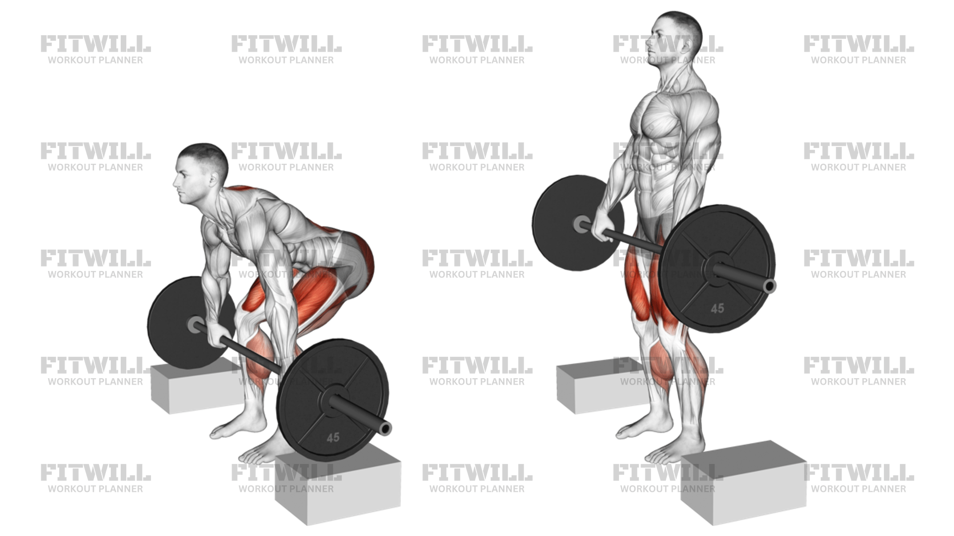 Barbell Deadlift From Blocks: Exercise Guide, Video, Techniques ...