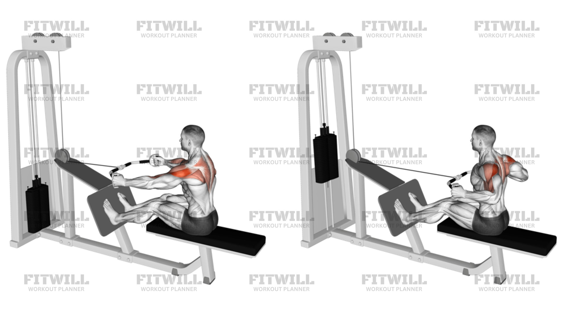 Cable Rear Delt Row (parallel Bar): Exercise Guide, Video, Techniques ...