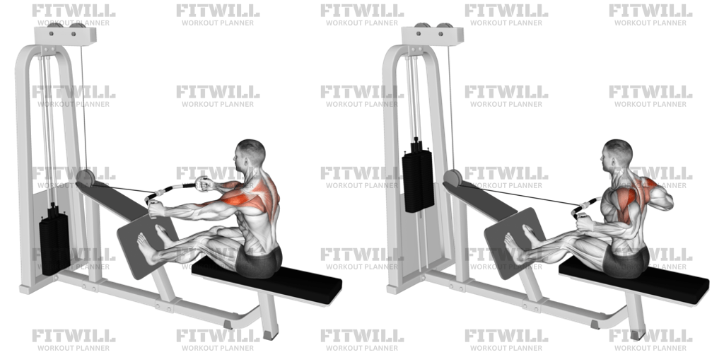 Cable Rear Delt Row (parallel Bar): Exercise Guide, Video, Techniques ...