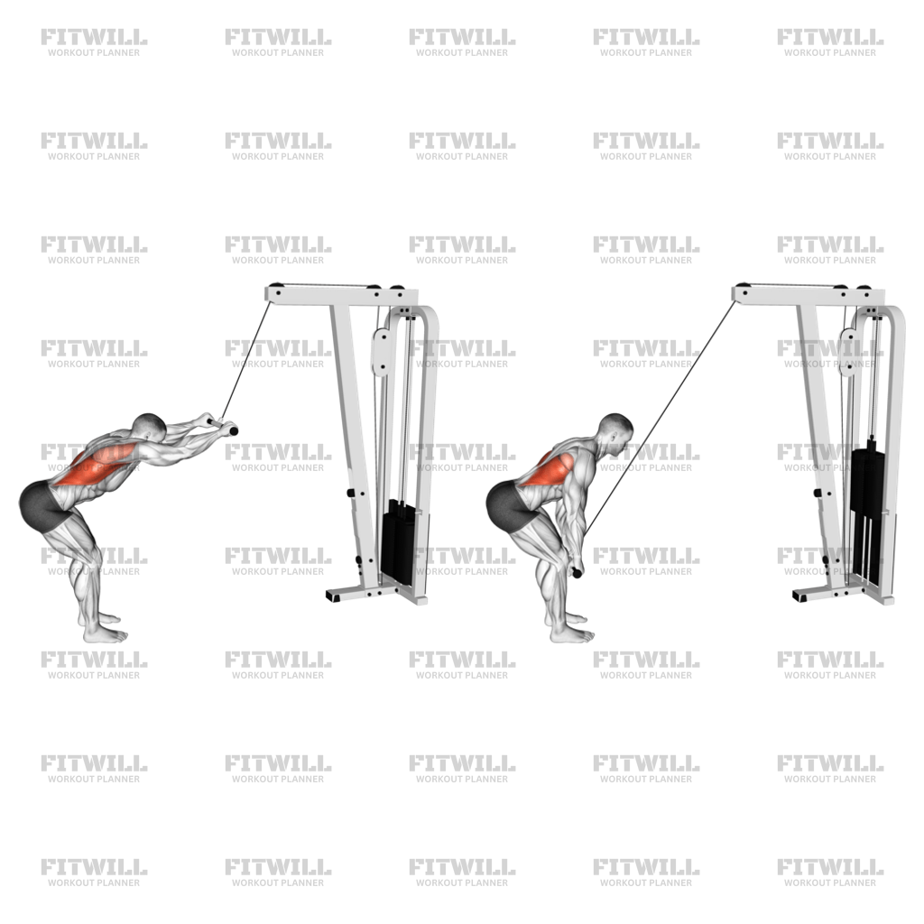 Cable Straight Arm Pulldown (VERSION 2): Exercise Guide, Video, Techniques, Benefits, How to ...