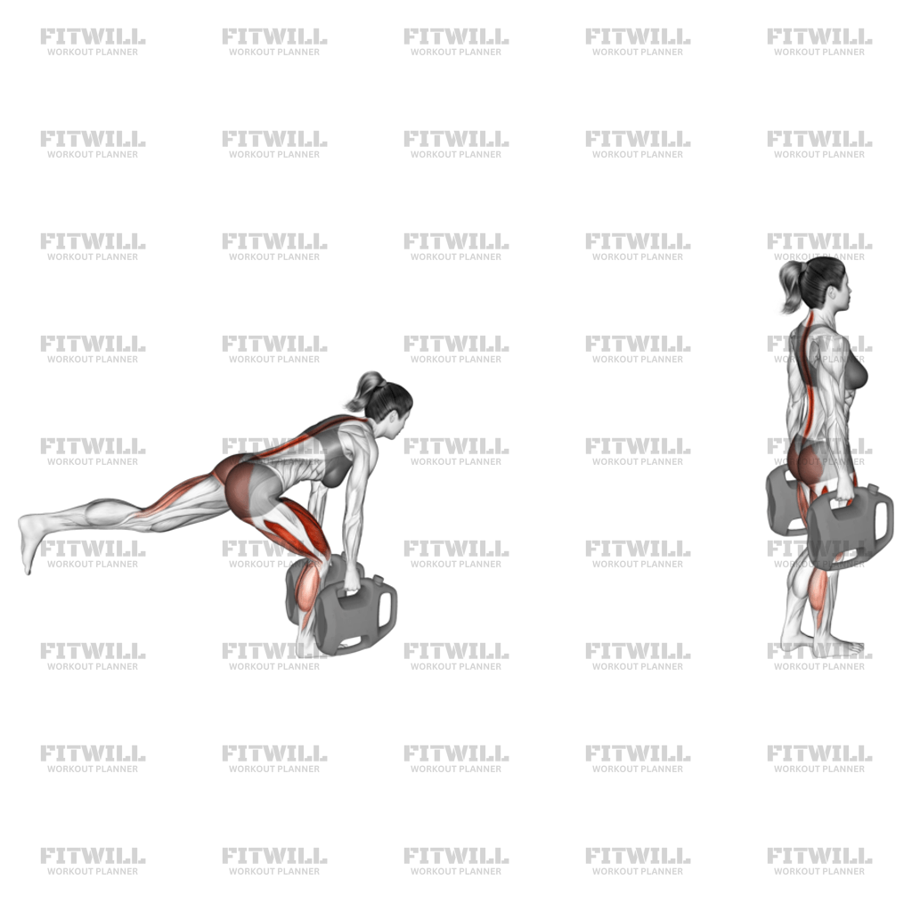 Bottle Weighted Single Leg Romanian Deadlift: Exercise Guide, Video ...