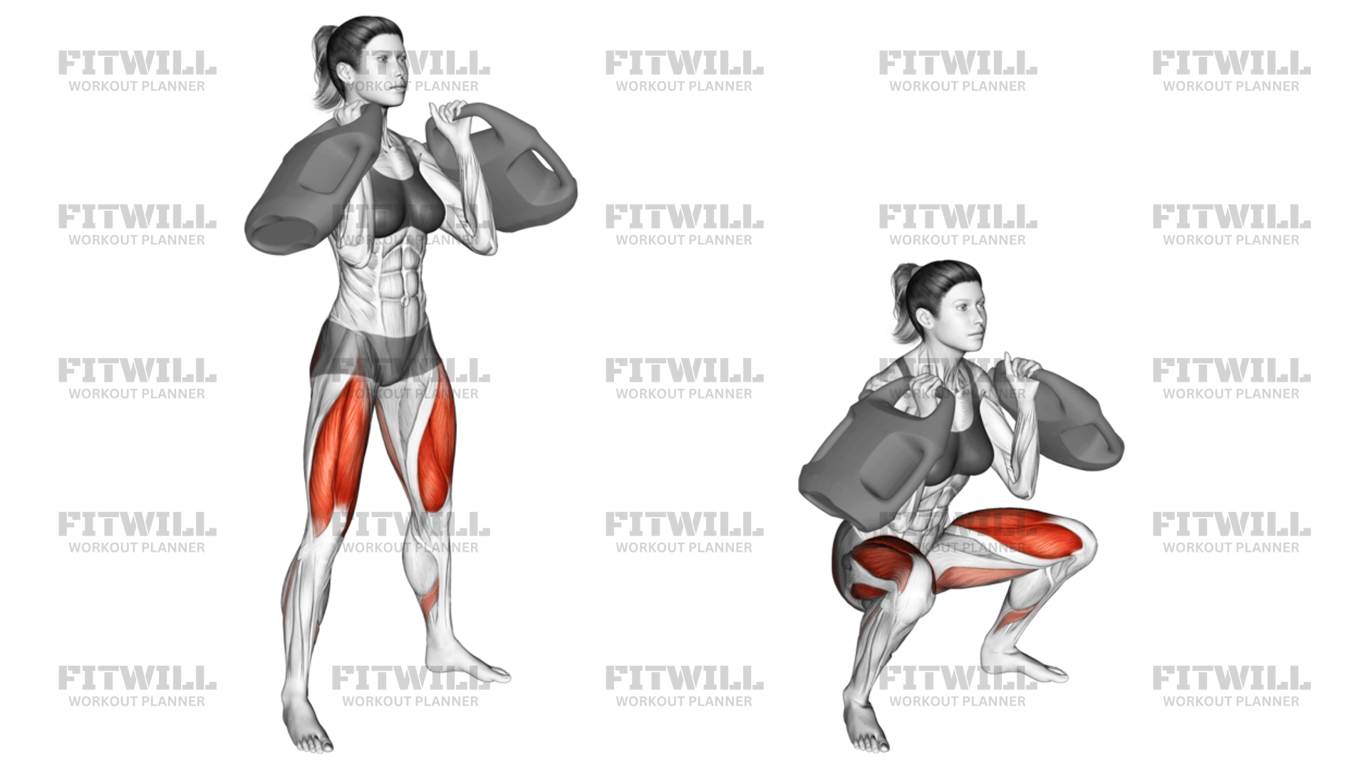 Sentadilla Frontal Con Botella Como Peso: Video de Ejercicio | Fitwill