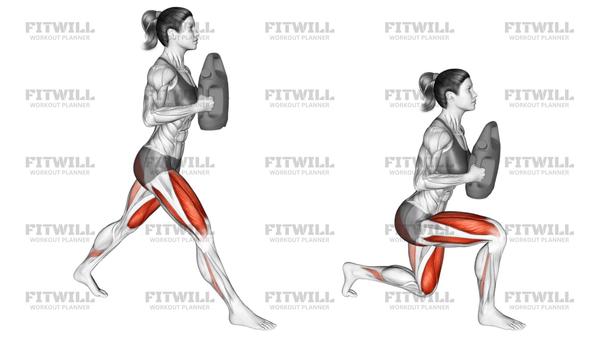 Bottle Weighted Split Squat: Exercise Guide, Video, Techniques ...