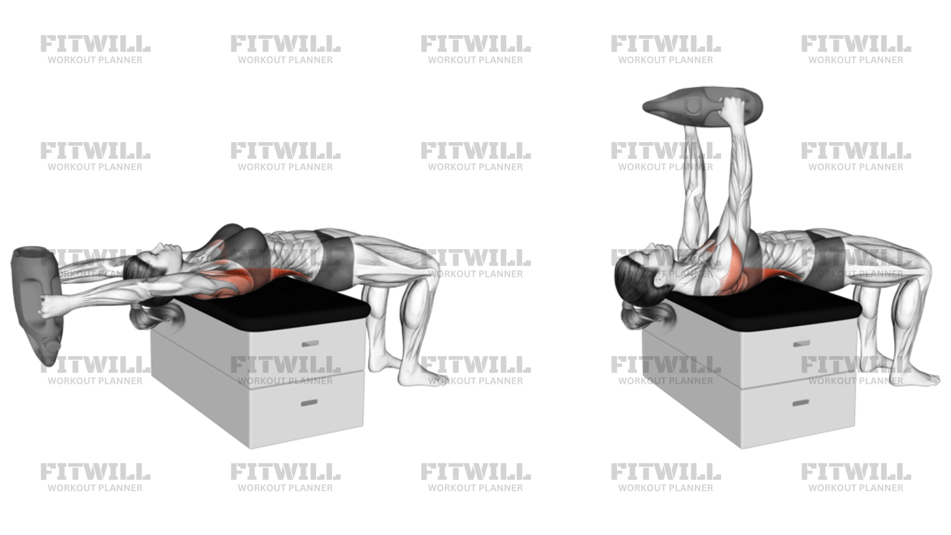 Bottle Weighted Pullover: Exercise Guide, Video, Techniques, Benefits ...