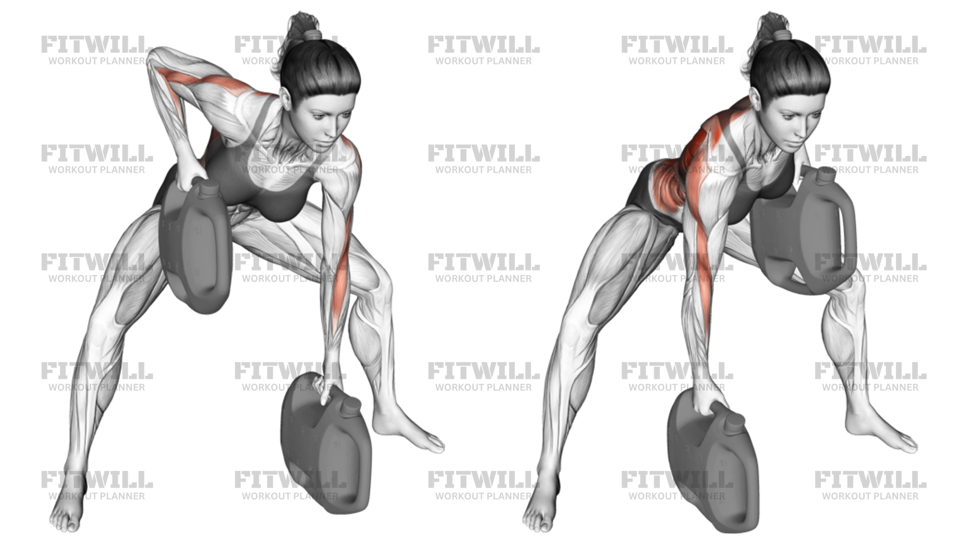 Remo Gorila Con Botella Con Peso: Guía de Ejercicios, Video, Técnicas ...