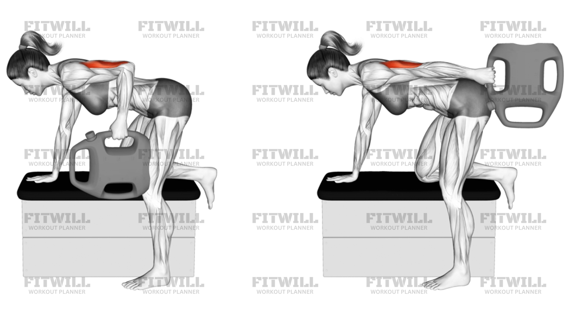 Patada De Tríceps Con Botella: Guía de Ejercicios, Video, Técnicas, Beneficios, Cómo Realizarlo ...