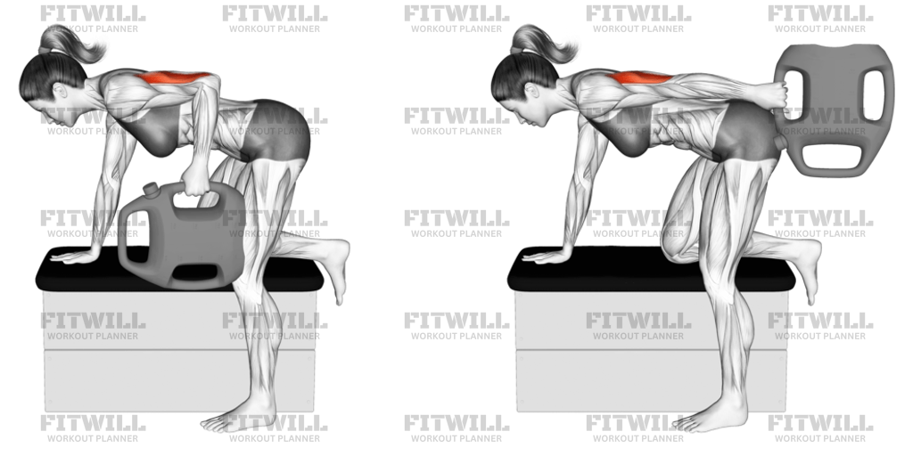 Bottle Weighted Kickback: Exercise Guide, Video, Techniques, Benefits ...