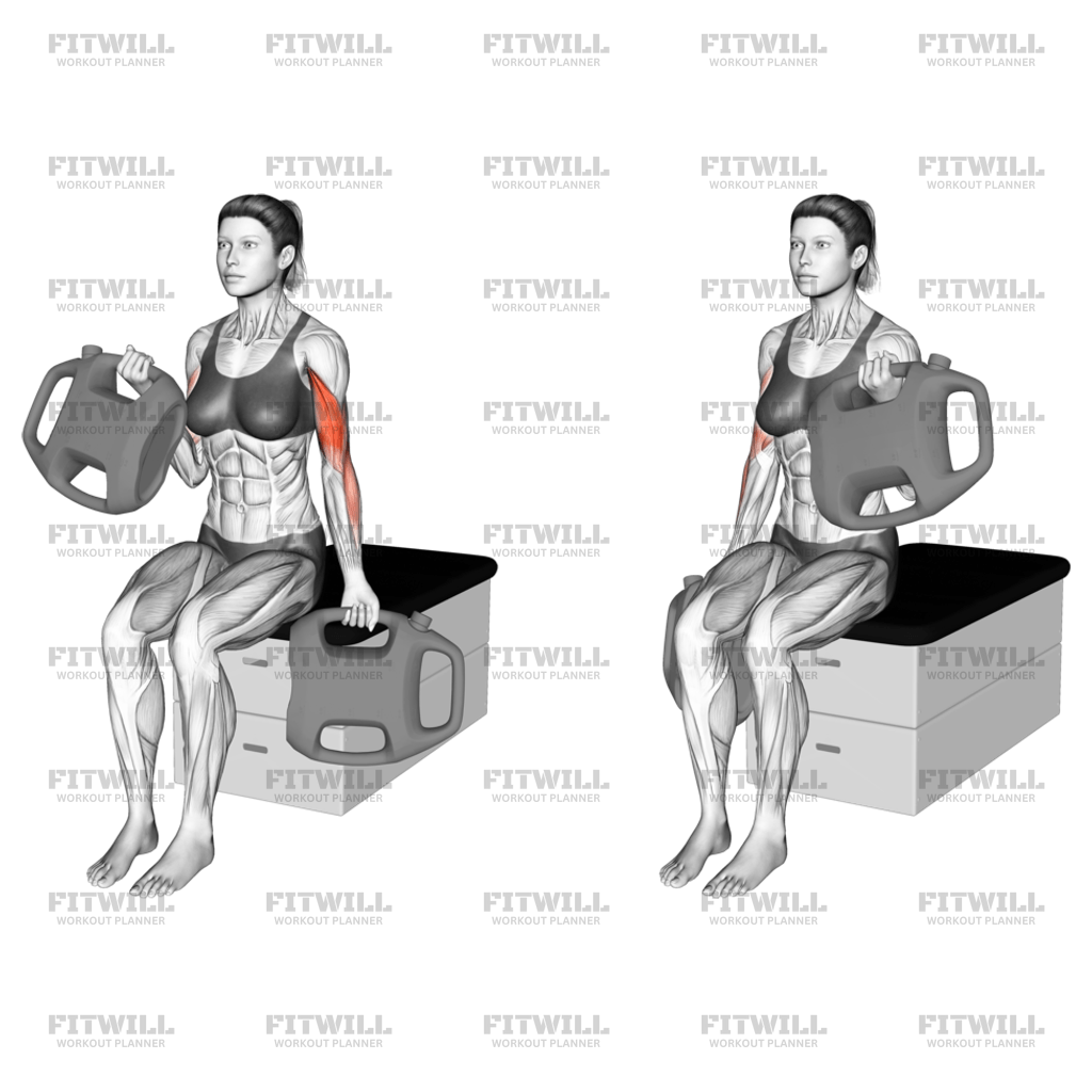 Bottle Weighted Alternate Biceps Curl: Exercise Guide, Video, Techniques, Benefits, How to ...