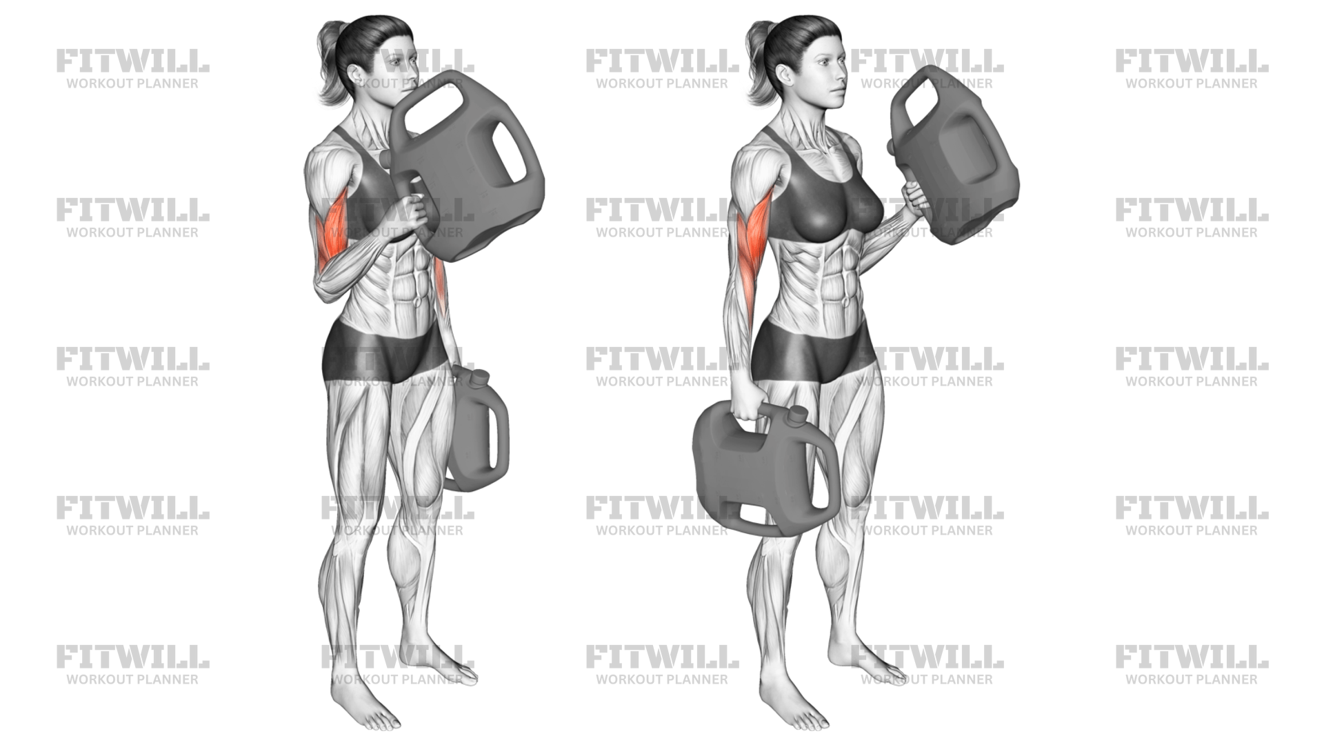 Curl Martillo Alterno Con Botellas Con Peso: Guía de Ejercicios, Video ...