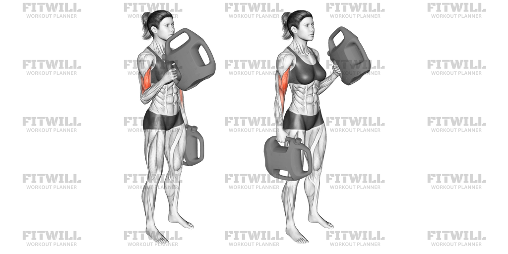 Bottle Weighted Alternate Hammer Curl: Exercise Guide, Video ...