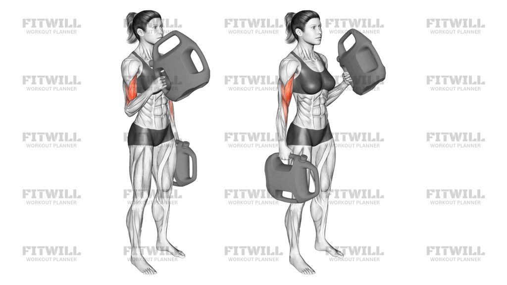 Bottle Weighted Alternate Hammer Curl: Exercise Guide, Video ...