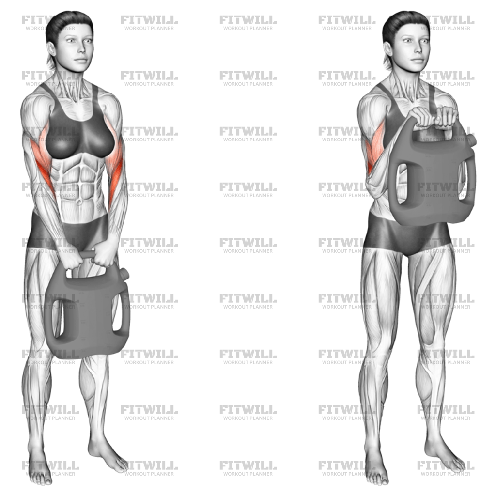 Bottle Weighted Reverse Curl: Exercise Guide, Video, Techniques ...