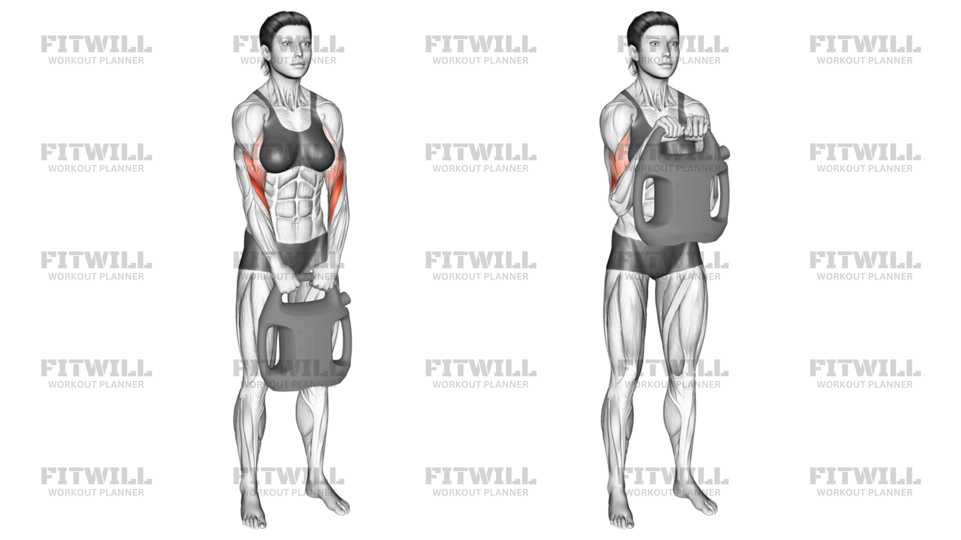Bottle Weighted Reverse Curl: Exercise Guide, Video, Techniques ...