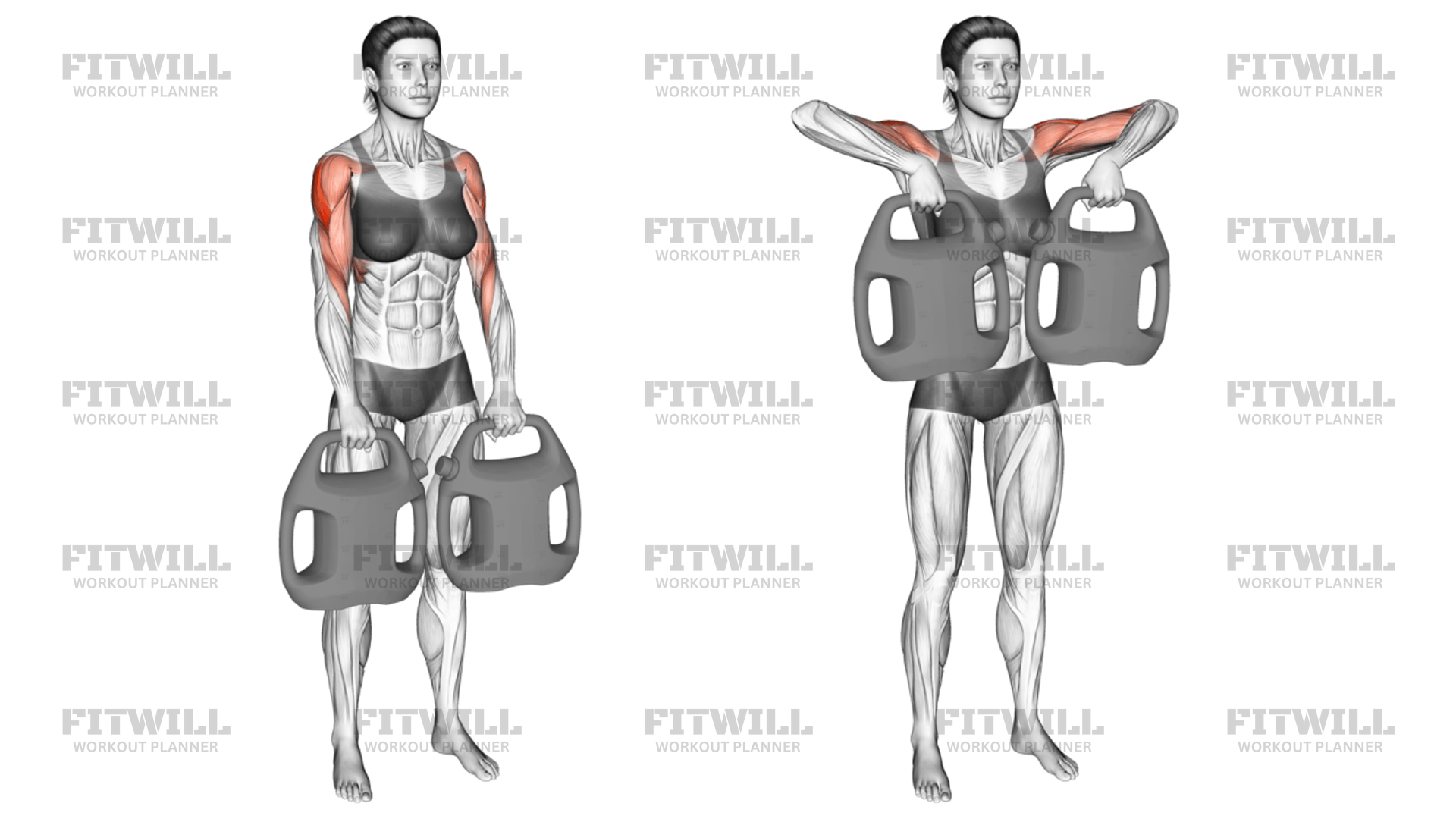 Bottle Weighted Upright Row: Exercise Guide, Video, Techniques ...