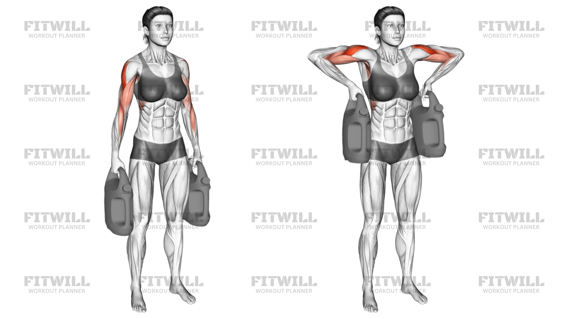Bottle Weighted Armpit Row: Exercise Guide, Video, Techniques, Benefits ...