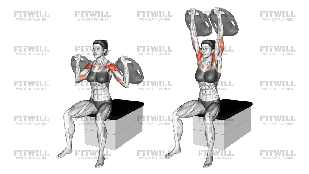 Bottle Weighted Shoulder Press: Exercise Guide, Video, Techniques ...