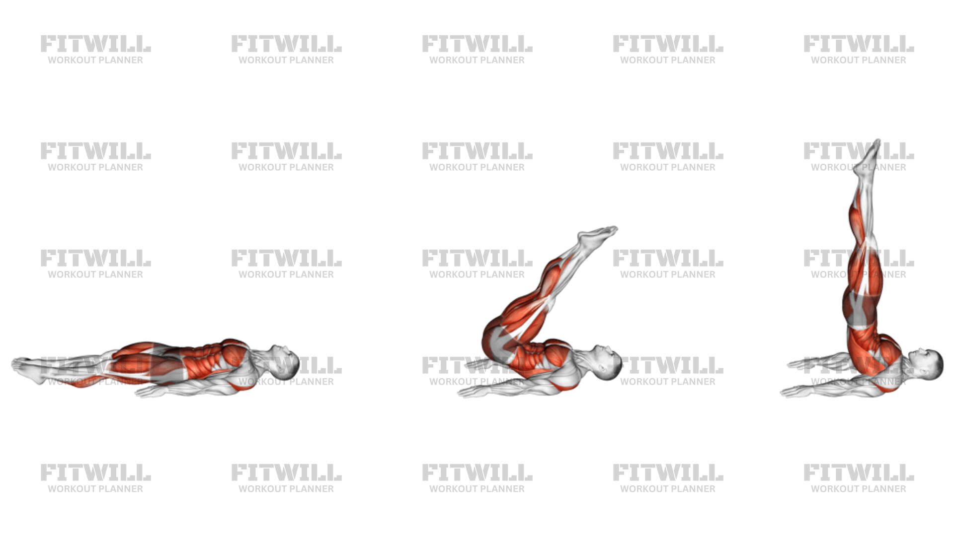 JackKnife: Exercise Guide, Video, Techniques, Benefits, How to, Muscles ...
