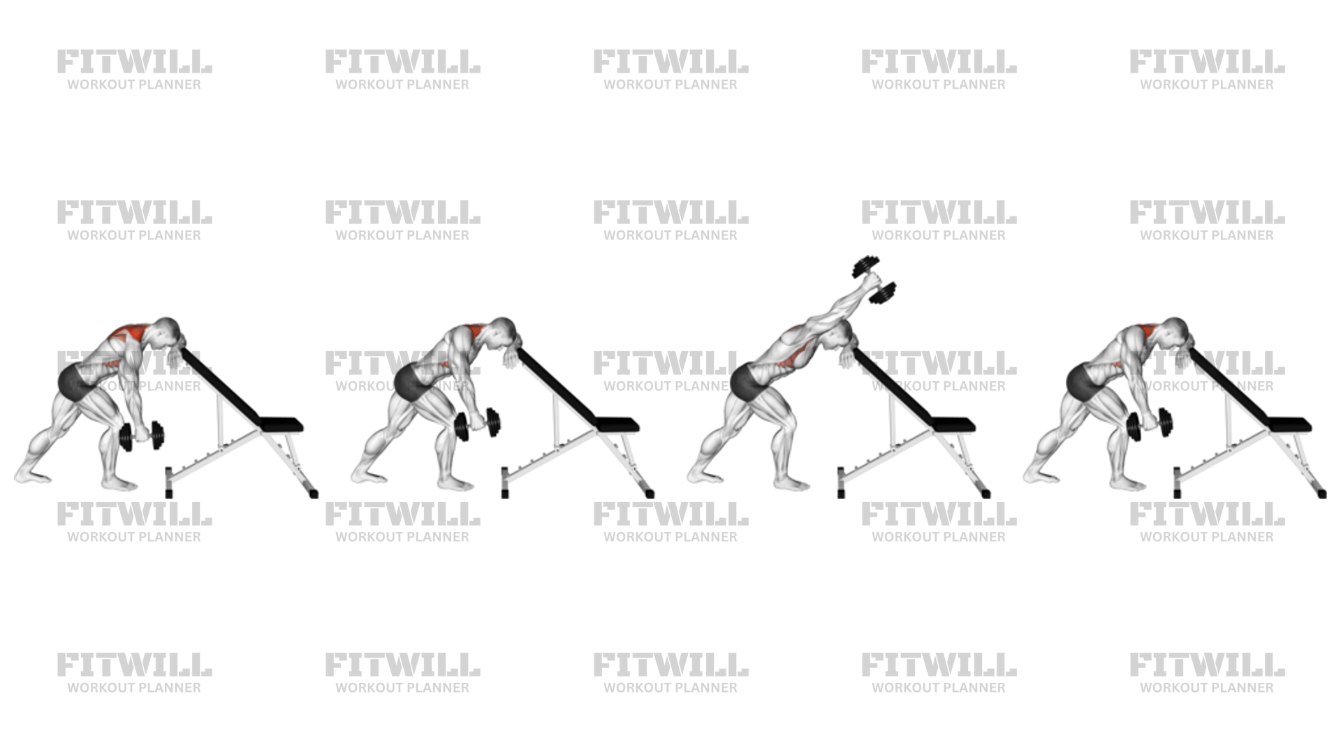 Elevação Unilateral Da Escápula Com Halteres: Guia de Exercícios, Vídeo ...