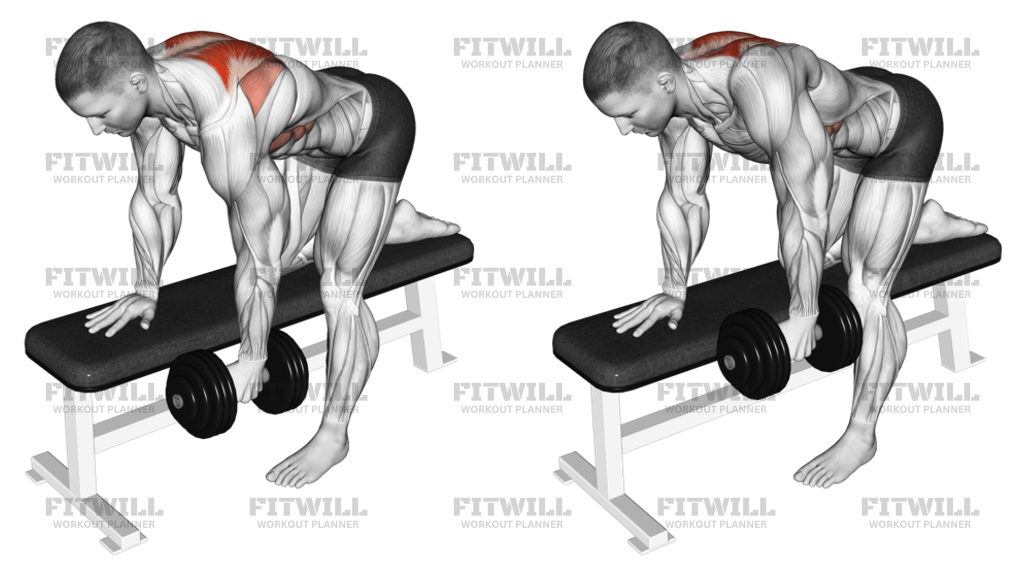 Dumbbell Bent-Over Scapula Row: Exercise Video | Fitwill