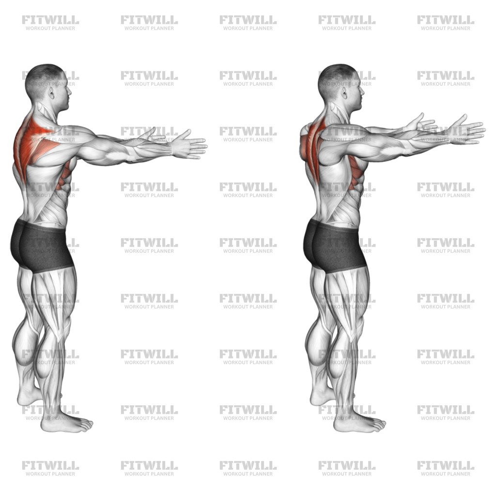 Bodyweight Standing Scapula Row: Exercise Guide, Video, Techniques ...
