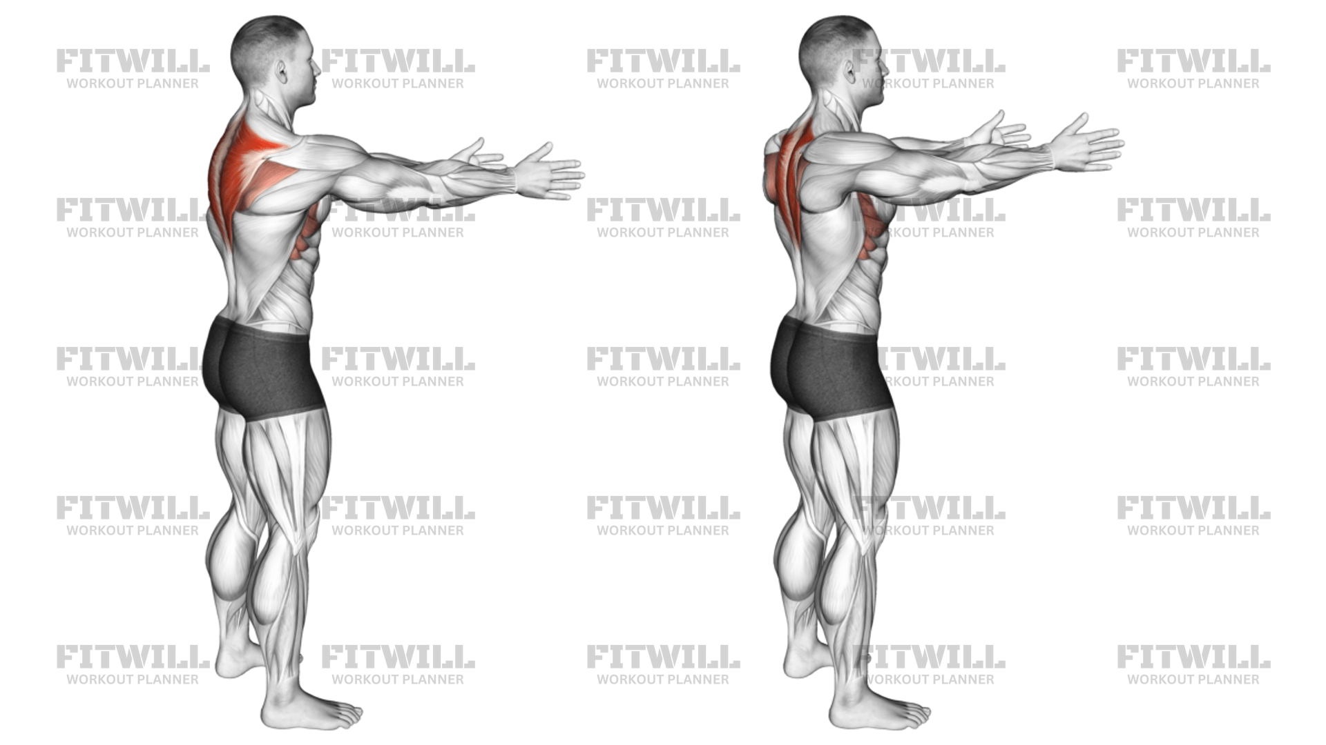 Bodyweight Standing Scapula Row: Exercise Guide, Video, Techniques ...