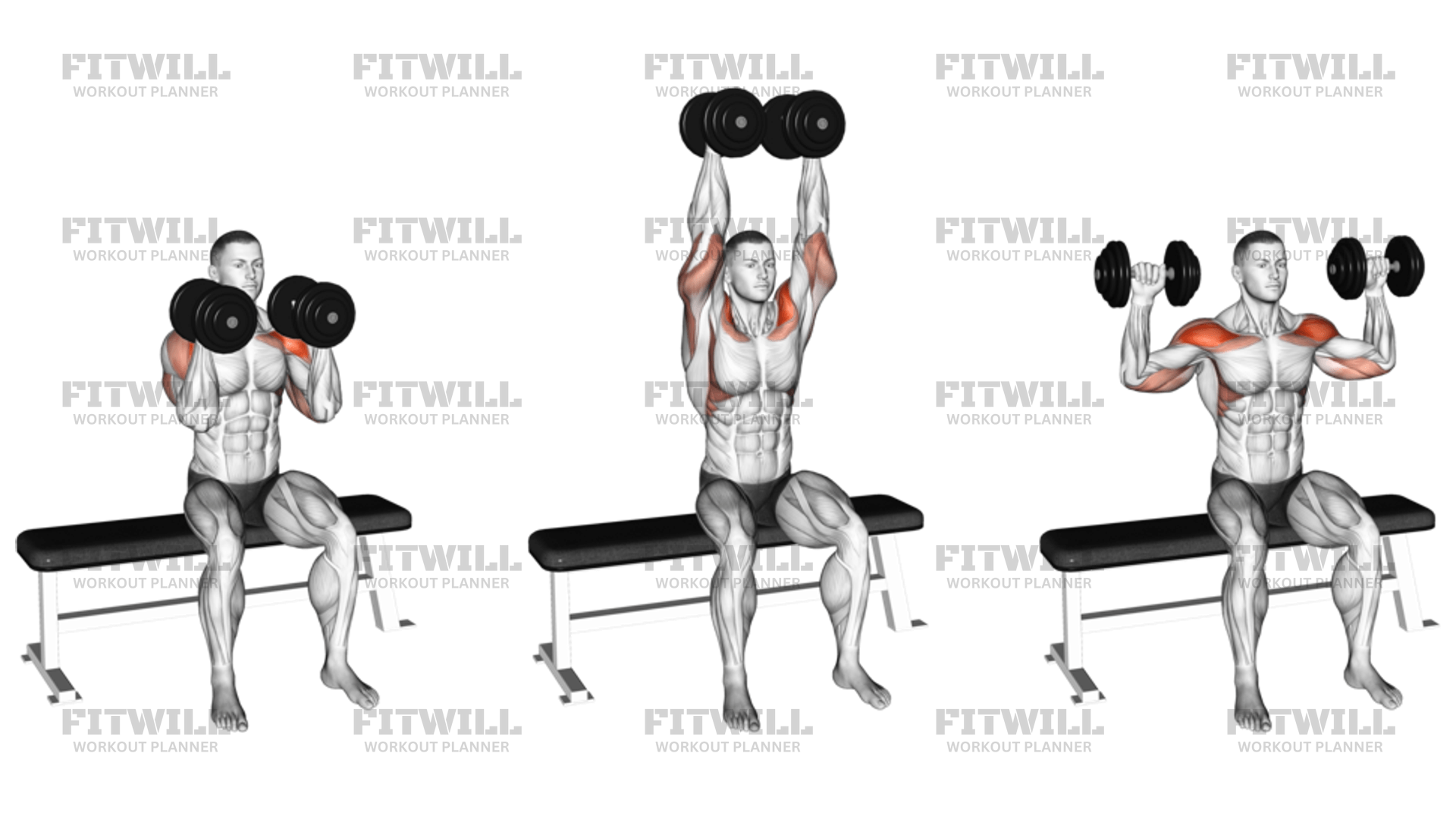 Dumbbell Seated Reverse Arnold Press: Exercise Guide, Video, Techniques ...