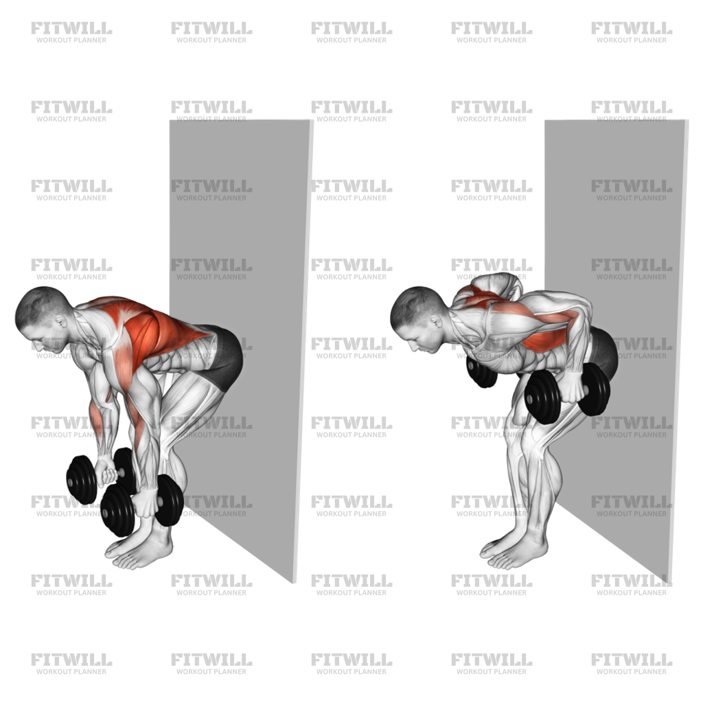 Dumbbell Bent Over Row Against Wall: Exercise Guide, Video, Techniques ...