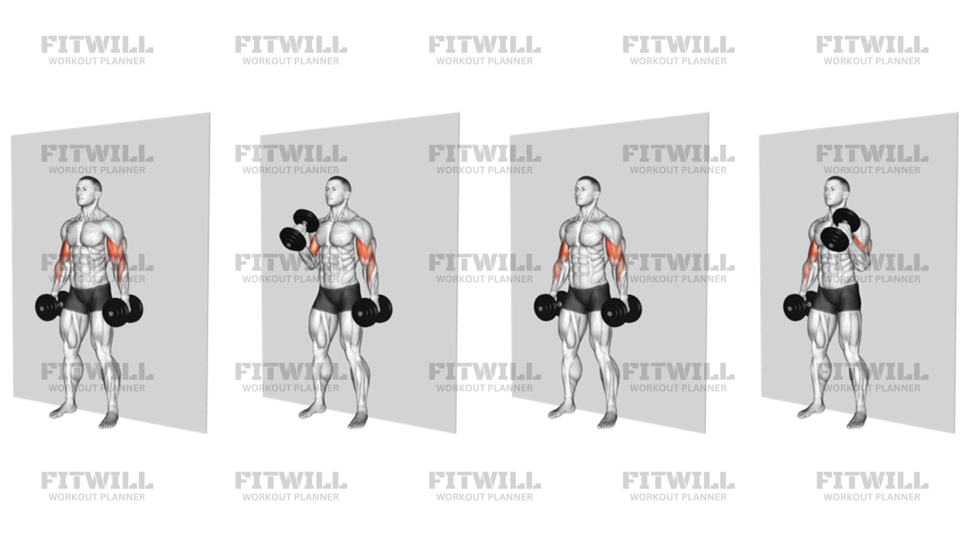 Dumbbell Alternate Hammer Srtict Curl: Exercise Guide, Video ... Dumbbell Alternate Hammer Srtict Curl: Exercise Guide, Video ...