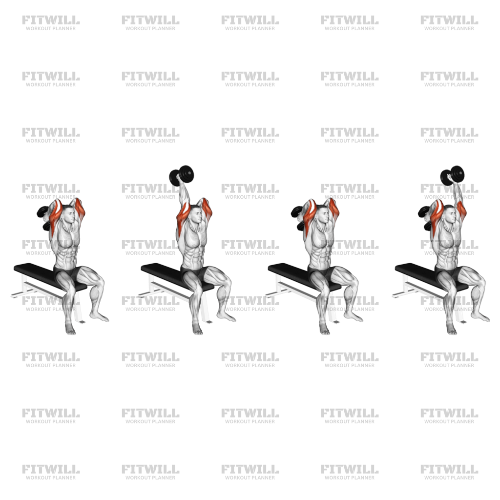 Dumbbell Seated Alternate Overhead Triceps Extension: Exercise Guide ...