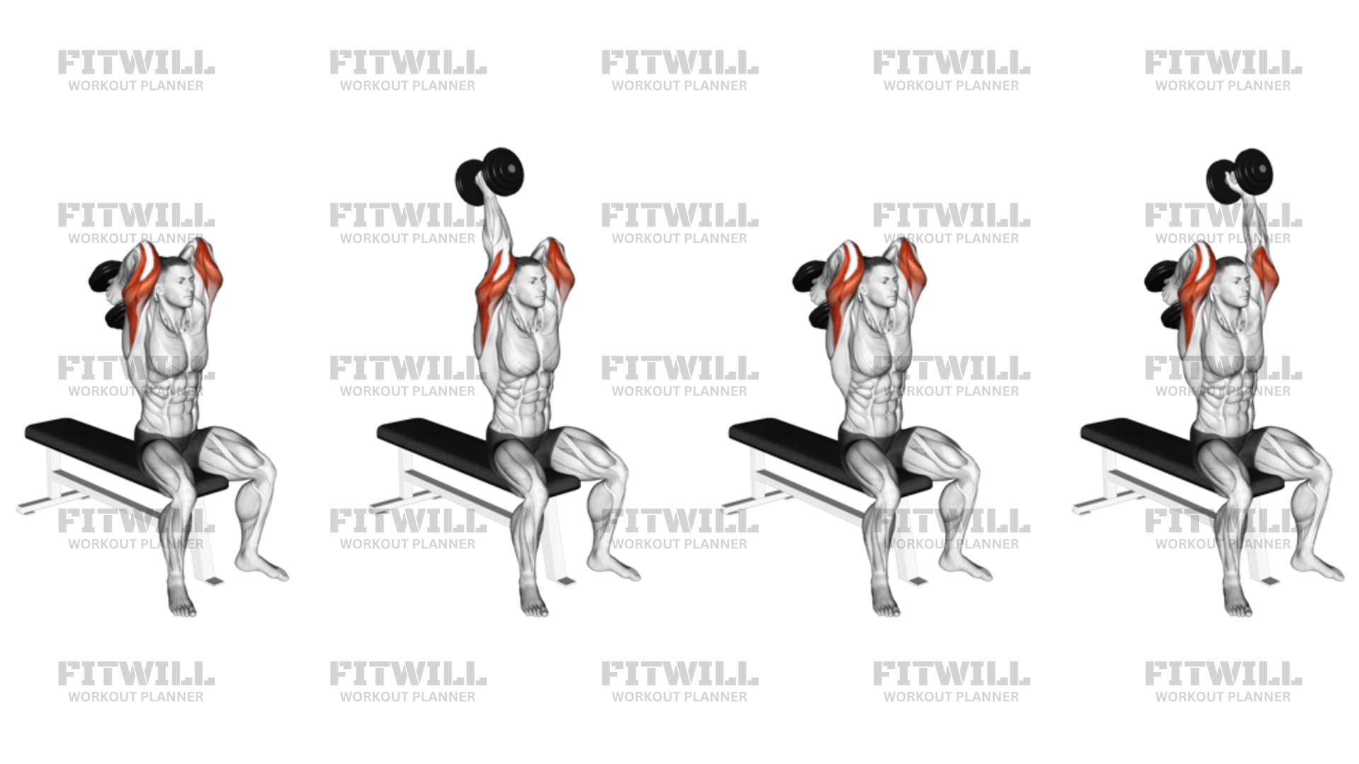 Extensão Alternada De Tríceps Sentado Com Halteres: Guia de Exercício ...