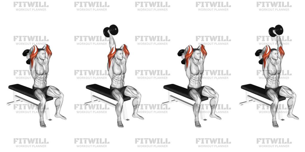 Dumbbell Seated Alternate Overhead Triceps Extension: Exercise Guide ...