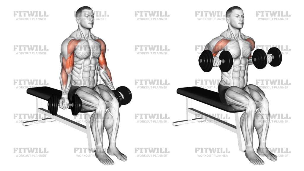 Dumbbell Seated Drag Curl: Exercise Guide, Video, Techniques, Benefits ...