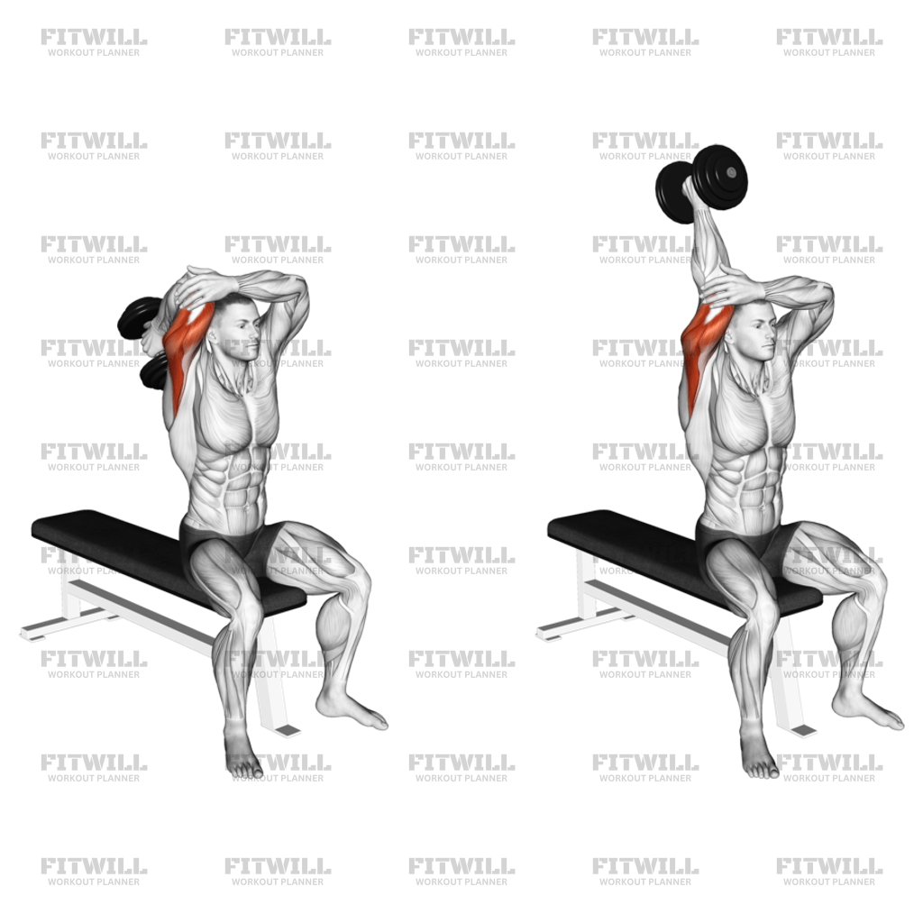 Dumbbell Seated Single Arm Overhead Triceps Extension: Exercise Guide ...
