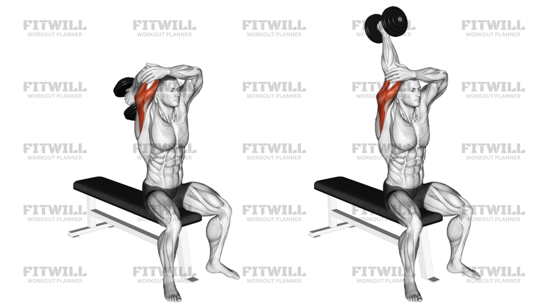 Dumbbell Seated Single Arm Overhead Triceps Extension: Exercise Guide ...