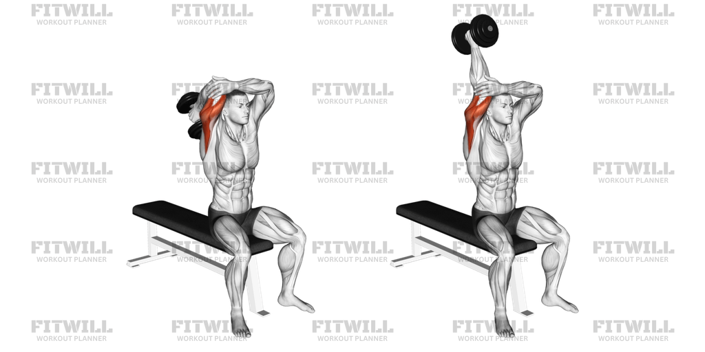 Dumbbell Seated Single-Arm Overhead Triceps Extension: Exercise Guide ...
