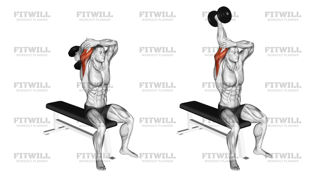 Dumbbell Seated Single Arm Overhead Triceps Extension: Exercise Guide ... Dumbbell Seated Single Arm Overhead Triceps Extension: Exercise Guide ...
