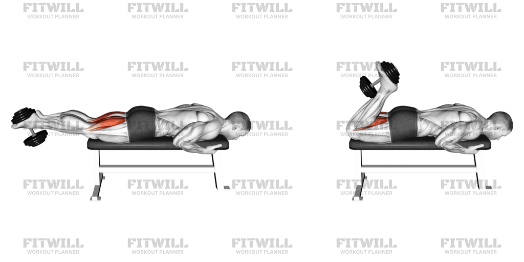 Dumbbell Hamstring Curl: Exercise Guide, Video, Techniques, Benefits ...