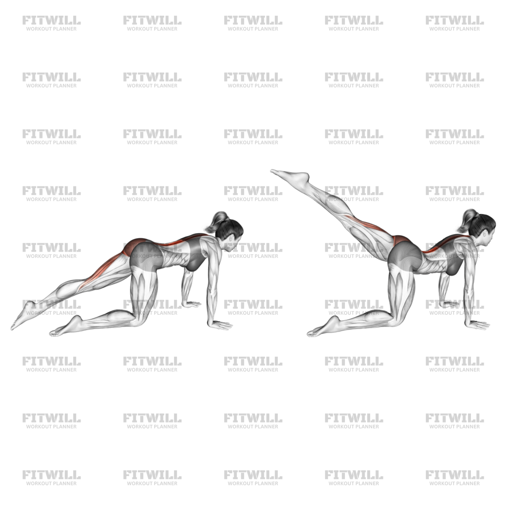 Kneeling Straight Leg Kickback (VERSION 2) (left): Exercise Guide ...