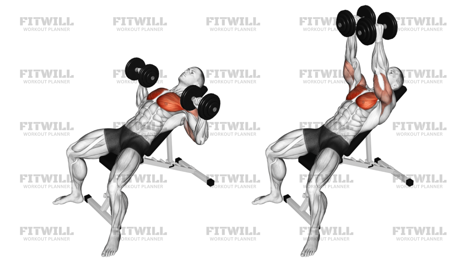 Dumbbell Incline Twist Press: Exercise Guide, Video, Techniques ...