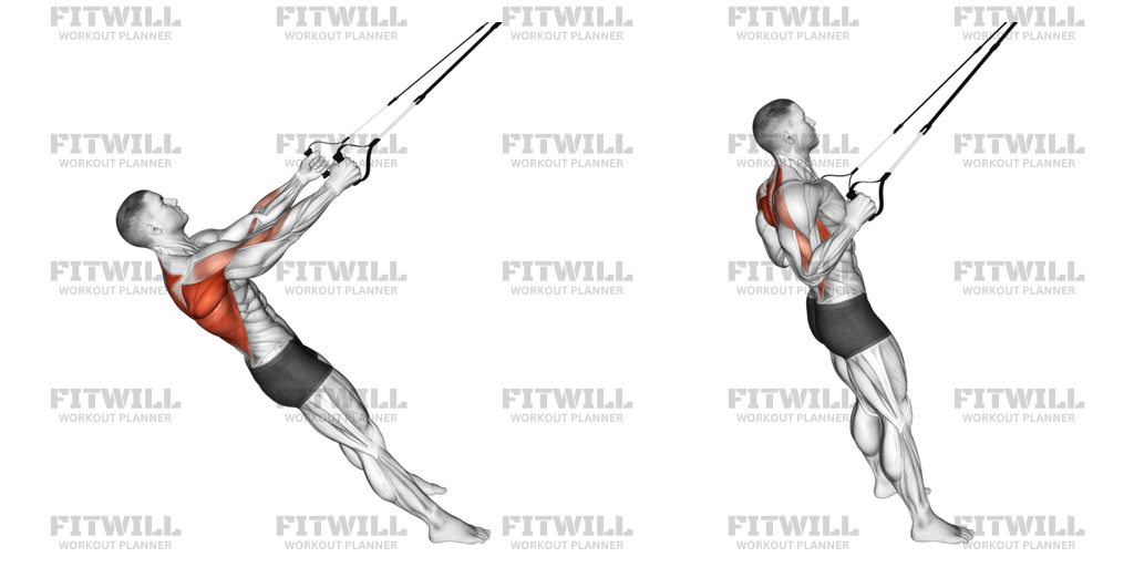 Suspender Row: Exercise Guide, Video, Techniques, Benefits, How to ...