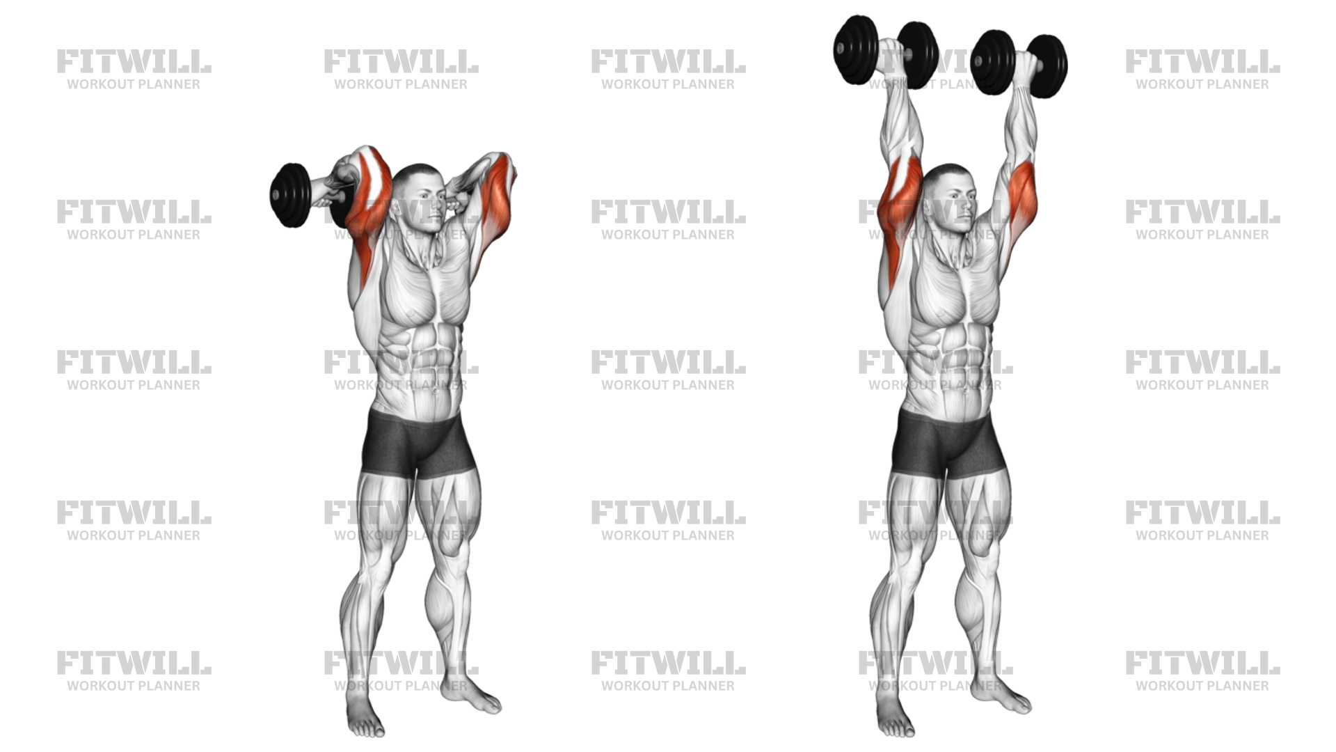 Dumbbell Standing French Press: Exercise Guide, Video, Techniques ...