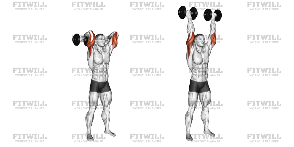 Dumbbell Standing French Press: Exercise Guide, Video, Techniques ...