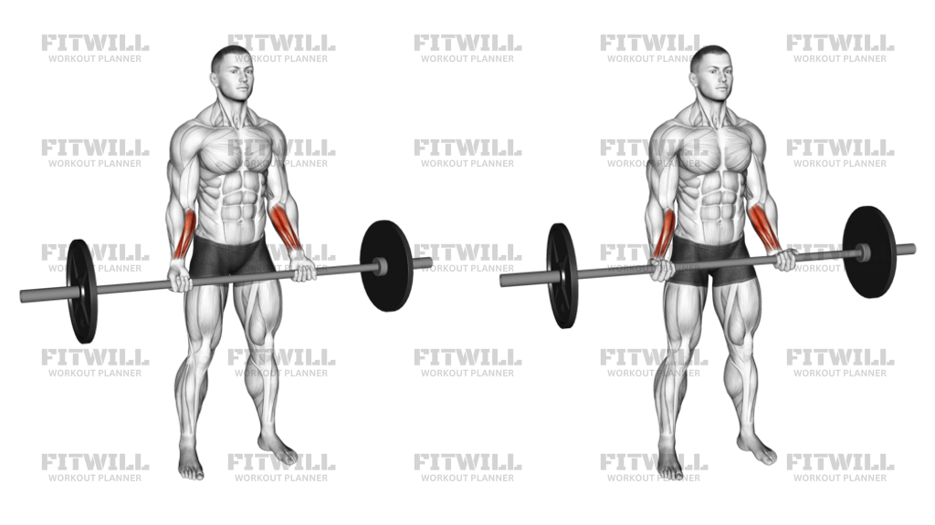 Barbell Standing Wrist Curl: Exercise Guide, Video, Techniques ...