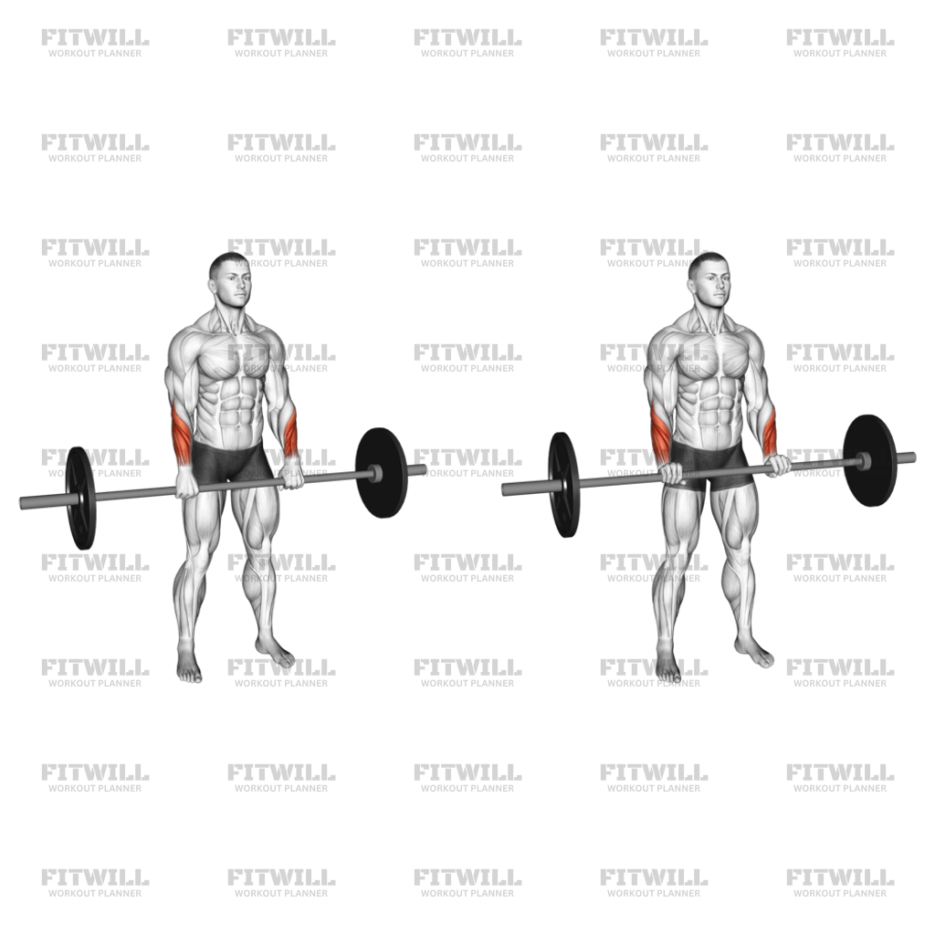Barbell Standing Wrist Reverse Curl: Exercise Guide, Video, Techniques, Benefits, How to ...