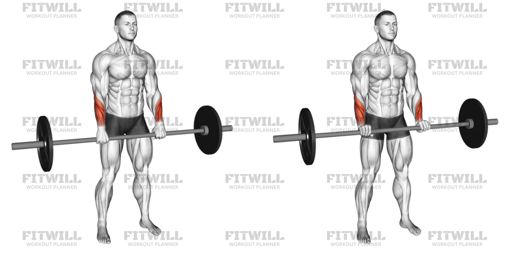 Barbell Standing Wrist Reverse Curl: Exercise Guide, Video, Techniques ...