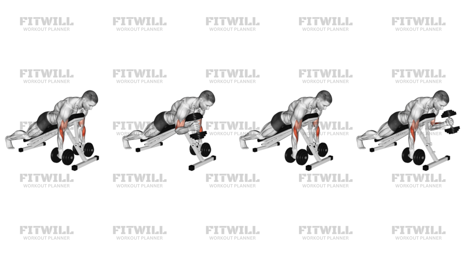 Dumbbell Prone Alternate Hammer Curl: Exercise Guide, Video, Techniques, Benefits, How to ...
