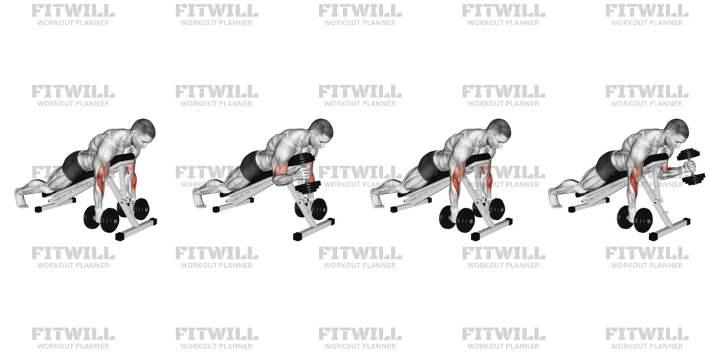 Dumbbell Prone Alternate Hammer Curl: Exercise Guide, Video, Techniques ...
