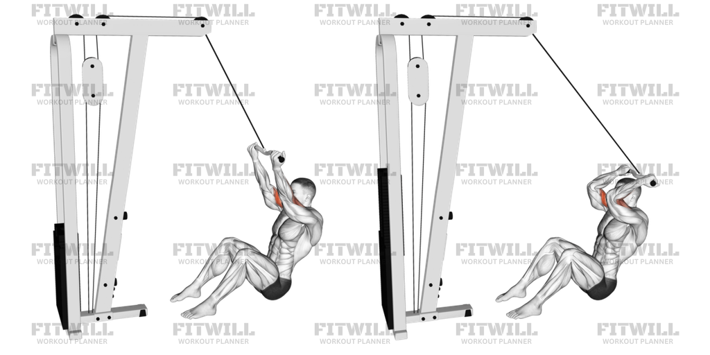 Cable Seated Overhead Curl SZ Bar: Exercise Guide, Video, Techniques ...