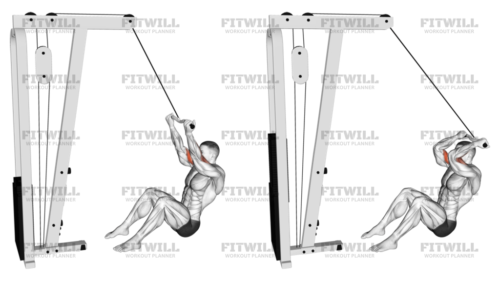 Cable Seated Overhead Curl SZ Bar: Exercise Guide, Video, Techniques ...